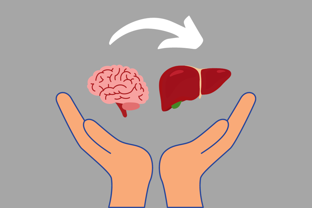 How Your Liver Health Impacts Your Mental Well-being - Liver Doc India